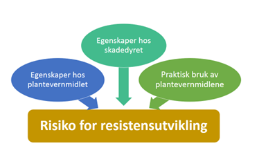 Plantevernmiddelresistens